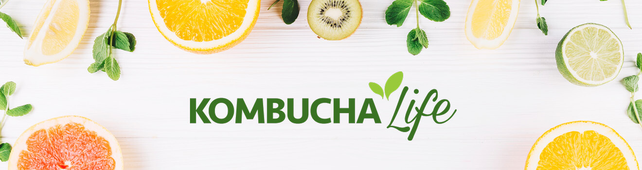 Kombucha Life | Natural and Organic Food Distributor - Bio Living